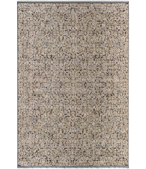 Livabliss Rivaldo Rvd2300 Area Rug 2.7 X 7.10 - Rugs Town
