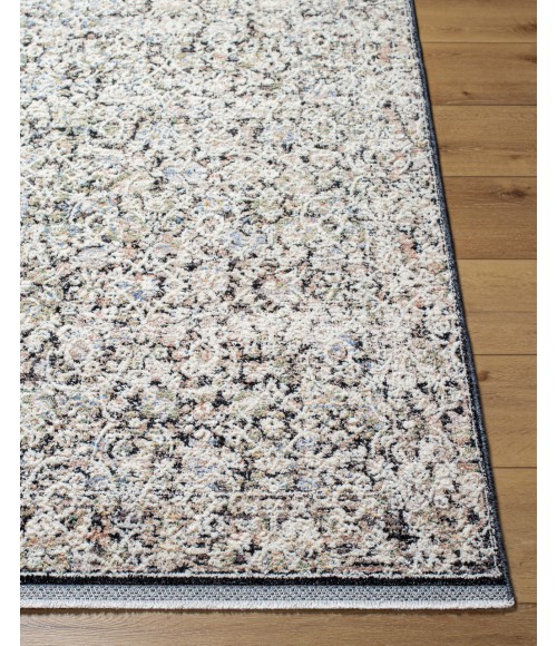 Livabliss Rivaldo Rvd2300 Area Rug 2.7 X 7.10 - Rugs Town